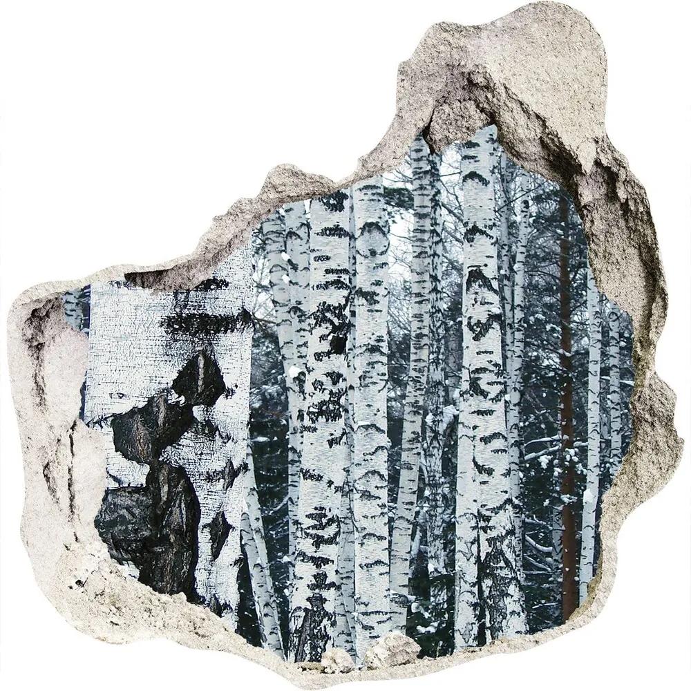Wallmuralia Samolepící díra na stěnu Stromy břízy 75x75 cm