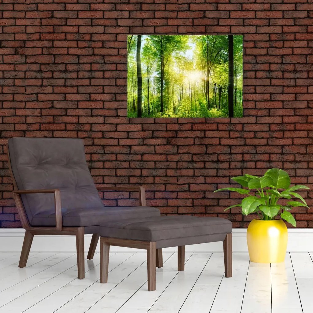 Skleněný obraz - Svítání v lese (70x50 cm)