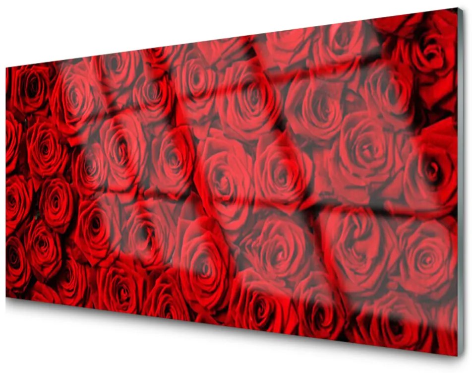 Obraz na skle Skleněný Růže