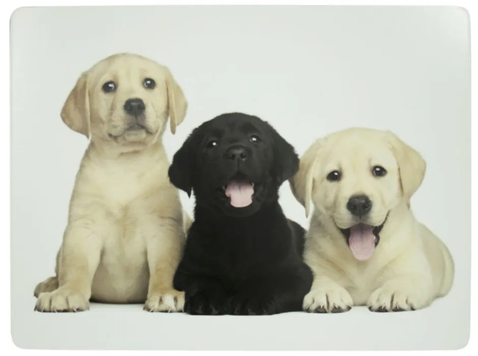 4ks pevné korkové prostírání štěňata labradora - 30*40*0,4cm