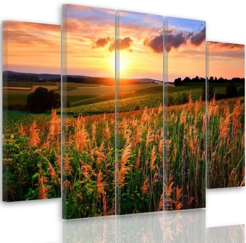 CARO Obraz na plátně - Sunset Over Fields 150x100 cm