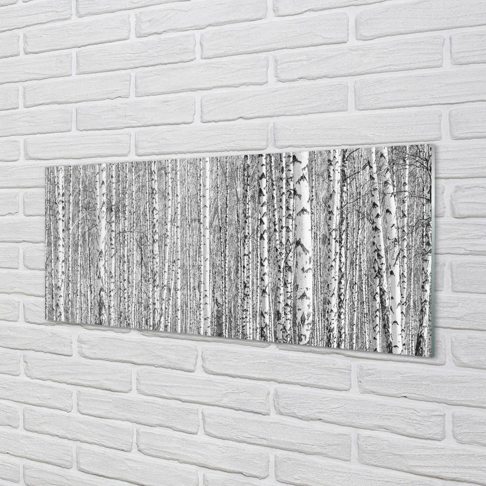 akrylový obraz Černá a bílá strom les 120x60 cm