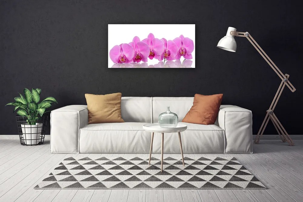 Obraz na plátně Růžová Orchidej Květiny 120x60 cm