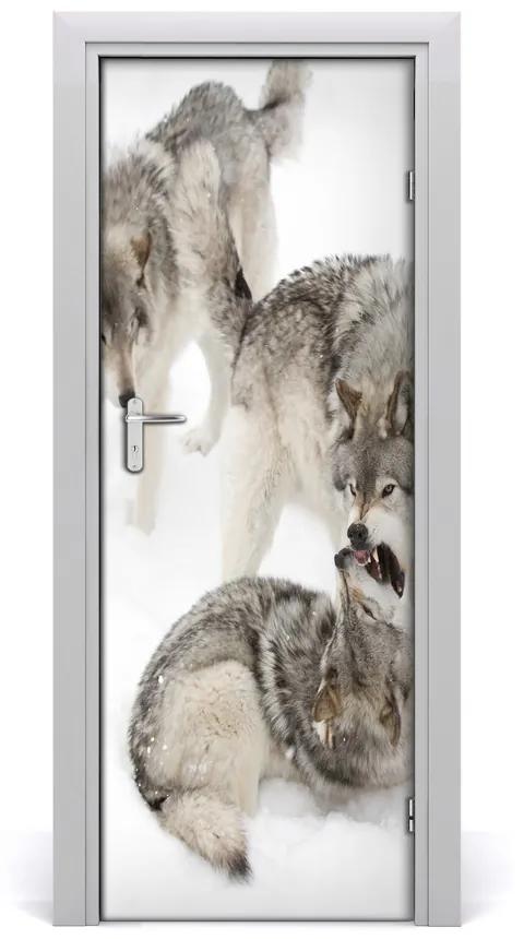 Samolepící fototapeta na dveře Šedí vlci 95x205 cm