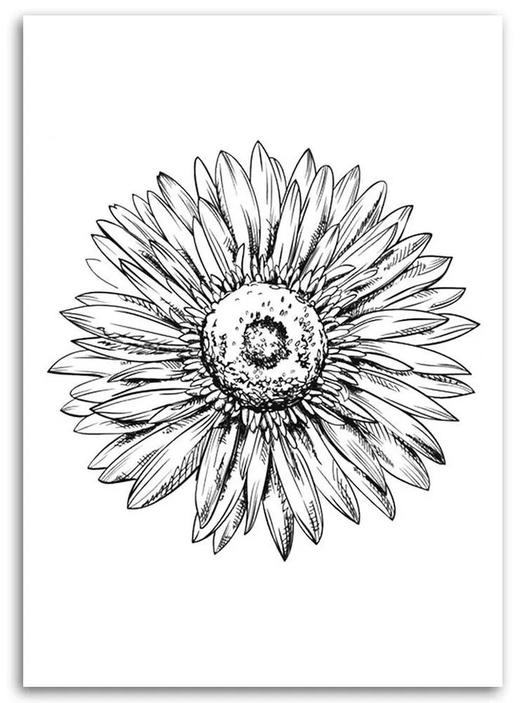 Obraz na plátně Květinová skica černá a bílá - 80x120 cm