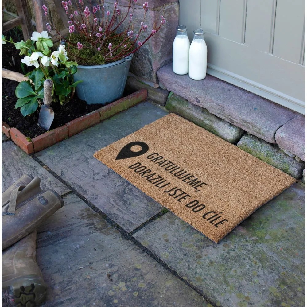 Rohožka z kokosového vlákna 40x60 cm Pin – Artsy Doormats