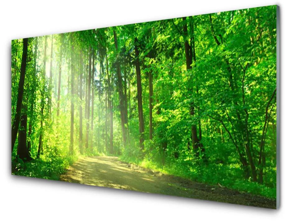 Obraz na skle Les Cestička Stromy Příroda 140x70 cm