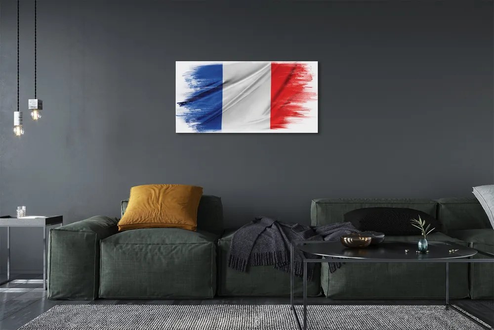 Obrazy na plátně vlajka Francie 100x50 cm