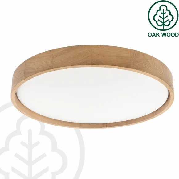 Brilagi - LED Stm stropní svítidlo MANAROLA SMART LED/36W/230V pr. 51 cm + DO