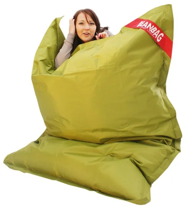 BeanBag Sedací pytel 179x140 perfekt green frog