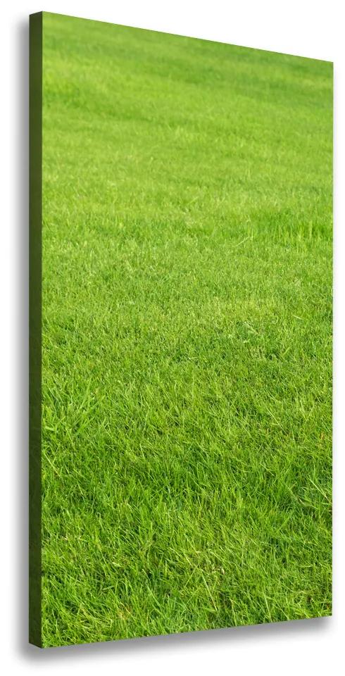 Wallmuralia Vertikální Foto obraz na plátně Zelená tráva 50x100