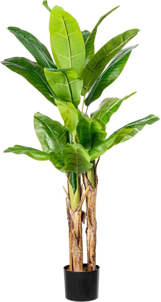 XXXLutz UMĚLÁ ROSTLINA banánovník 150 cm - Umělé rostliny - 004297371101