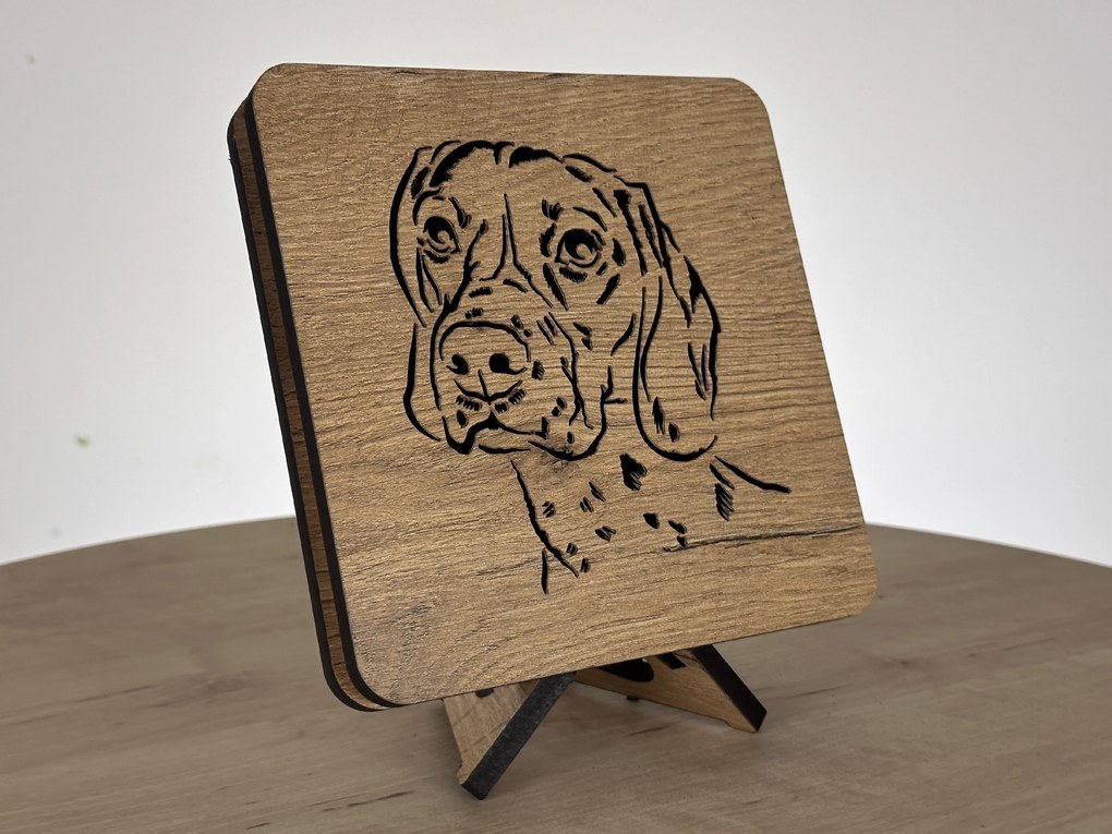 Li-Go "Dalmatin" lampa 19x19cm provedení povrchu: dub světlý