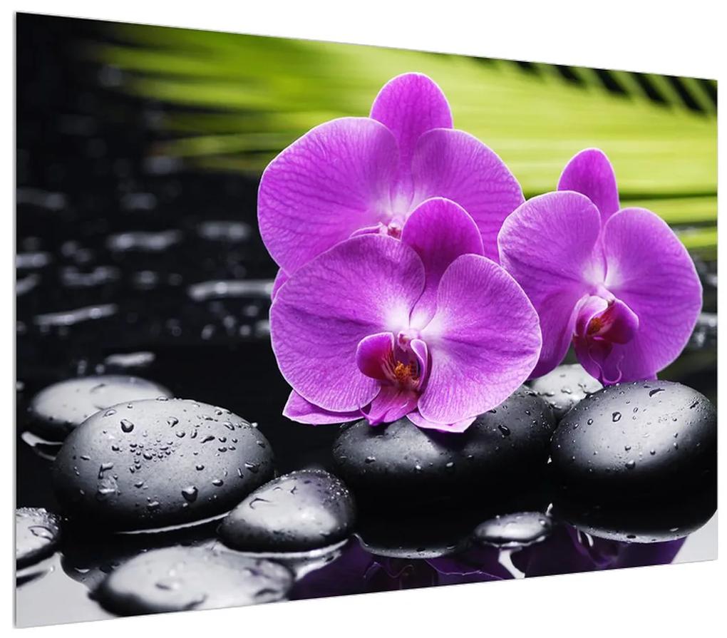 Obraz orchidejí (100x70 cm)