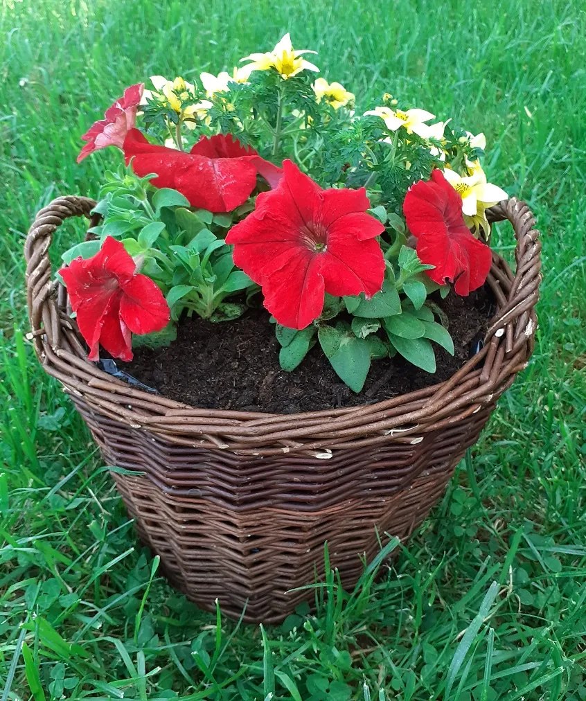 HRADIL Proutěný obal na květináč kulatý s fólií průměr 30 cm