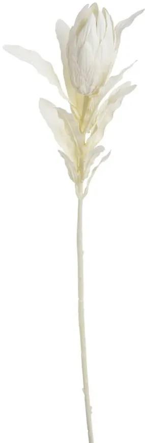 protea pastel - krémová