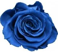 Hlavy růží - princess 16 ks Royal blue - tmavě modrá