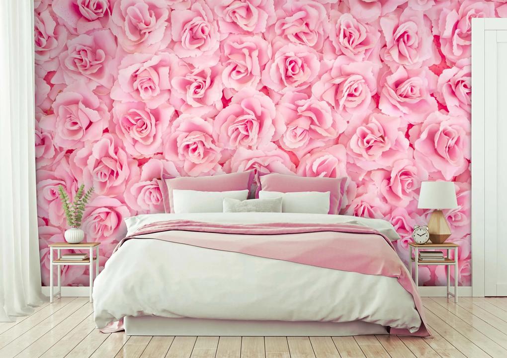 Malvis ® Tapeta Stěna z růží Vel. (šířka x výška): 360 x 260 cm
