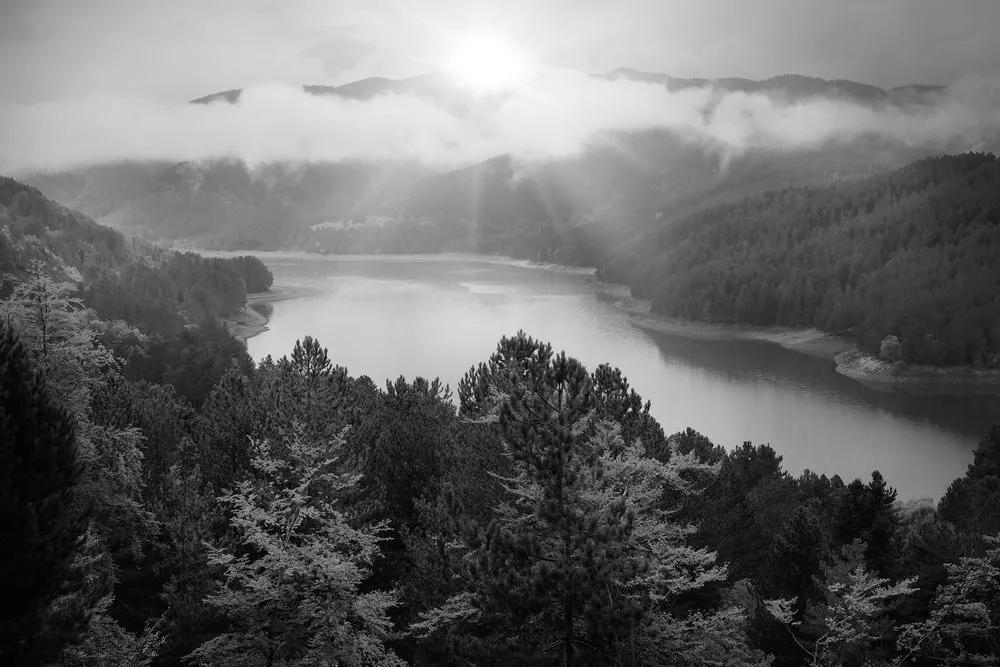 Obraz řeka uprosted lesa v černobílém provedení Varianta: 120x80