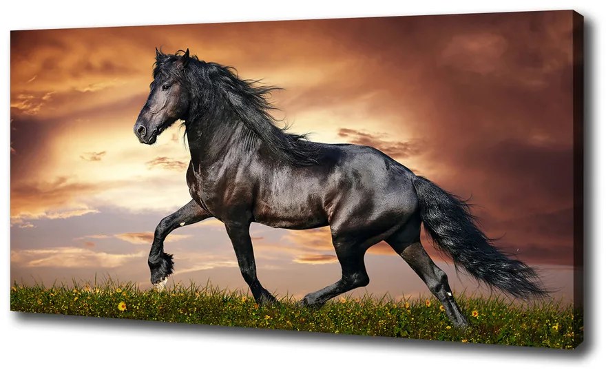 Wallmuralia Foto obraz na plátně do obýváku Klusající kůň 100x50 cm