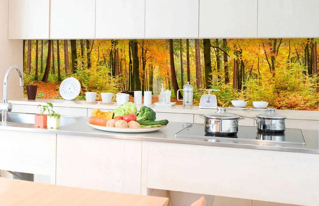 Postershop Samolepící omyvatelná fototapeta za kuchyňskou linku - Podzimní les, 350x60 cm