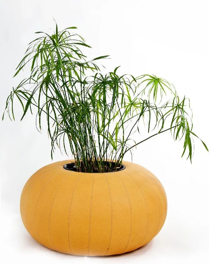 Kulatý květináč do interiéru PUMPKIN, šířka 75 cm, žlutá, outlet