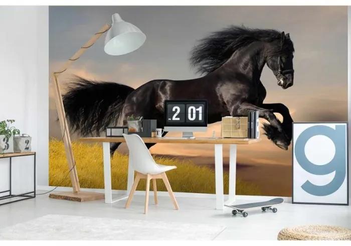 DIMEX | Samolepicí vliesová fototapeta na zeď Černý kůň MA-5-0228 | 375 x 250 cm | zelená, modrá, černá
