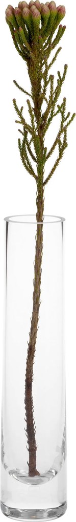 XXXLutz VÁZA, sklo, 24 cm Leonardo - Skleněné vázy - 003813159601