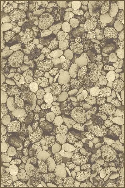 Kusový koberec Lido 240 x 340 cm