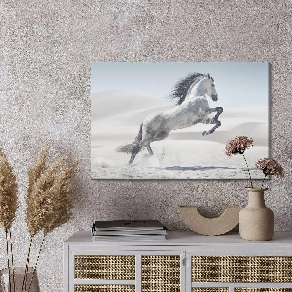 Obraz Kůň V Poušti Nedostatek Nedostatek Přírodní plátno 70x50
