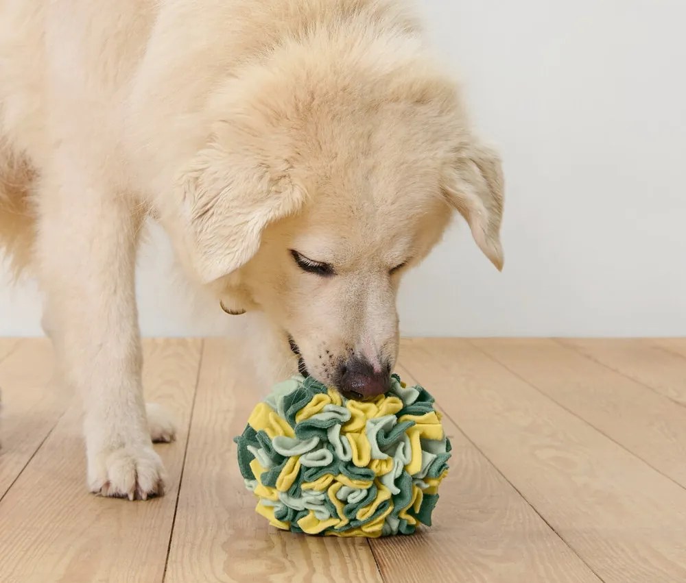 Tchibo - Čichací míček pro domácí mazlíčky - barva: zelená