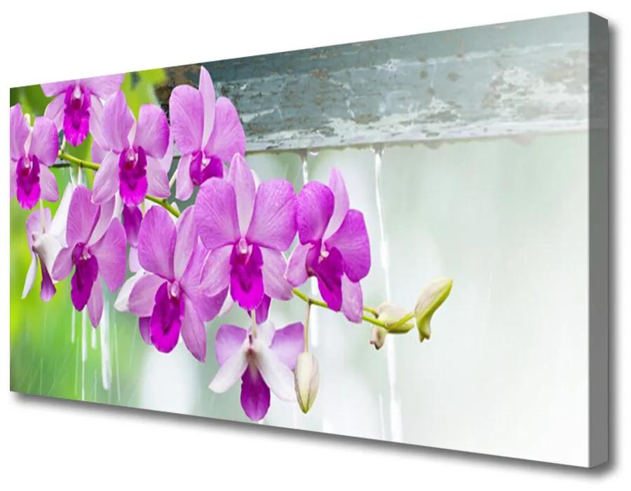 Obraz na plátně Orchideje Kapky Příroda 120x60 cm