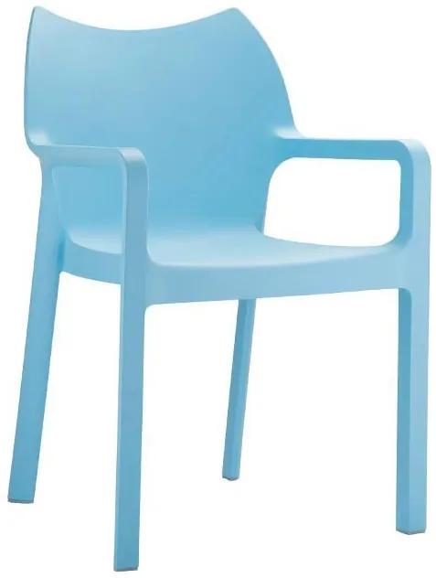 BHM Germany Jídelní židle s područkami Demy (SET 2 ks) (Jídelní židle s područkami Demy (SET 2 ks), Jídelní židle)