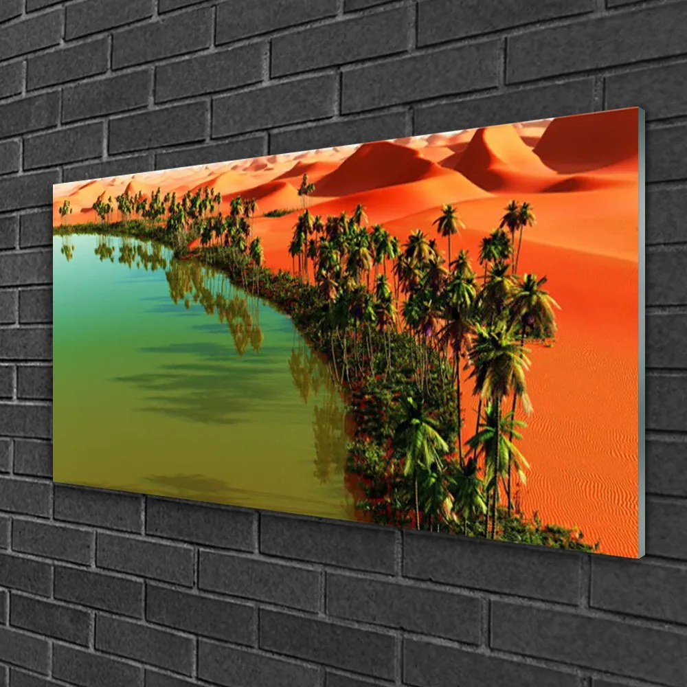 Obraz na skle Jezero Poušť Palmy 120x60 cm