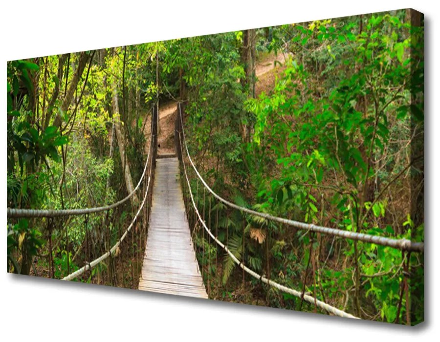 Obraz na plátně Most Džungle Tropický Les 100x50cm