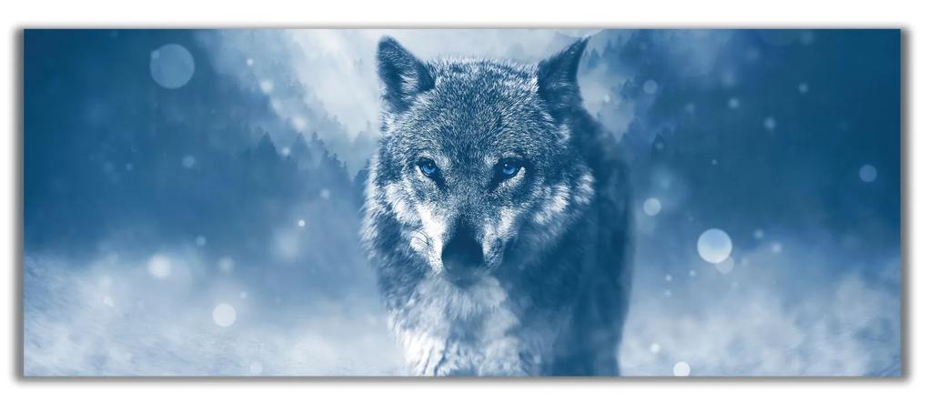 Malvis ® Obraz vlk v zimě Velikost (šířka x výška): čtverec - 50x50 cm