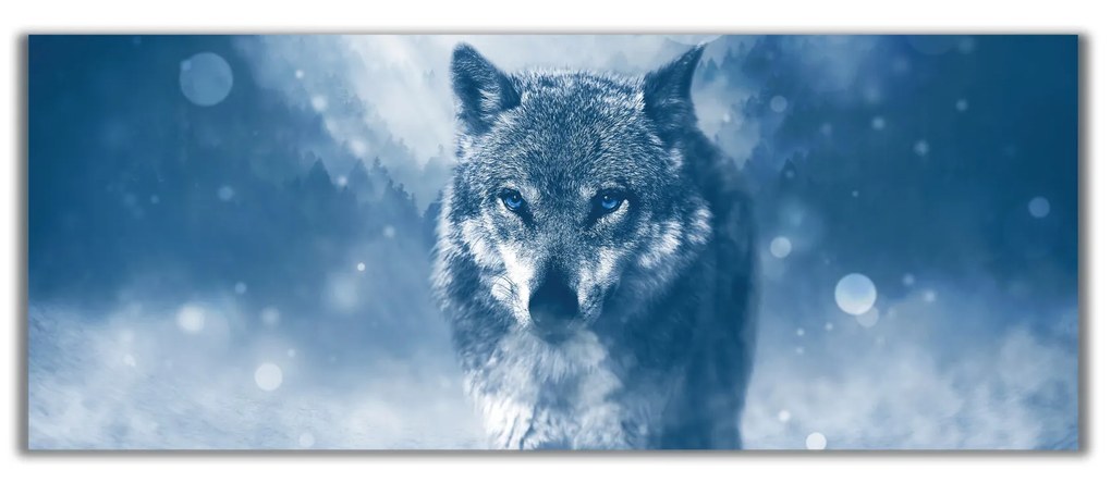 Malvis ® Obraz vlk v zimě Velikost (šířka x výška): třídílný obdélník - 120x80 cm