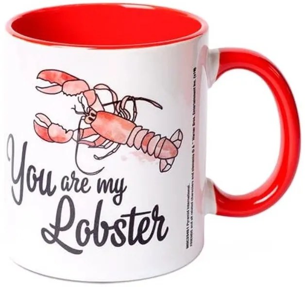 Hrnek friends - you are my lobster - hrnek