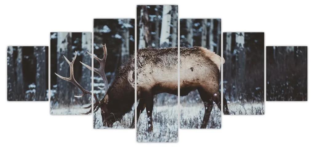 Obraz - jelen v zimě (210x100 cm)