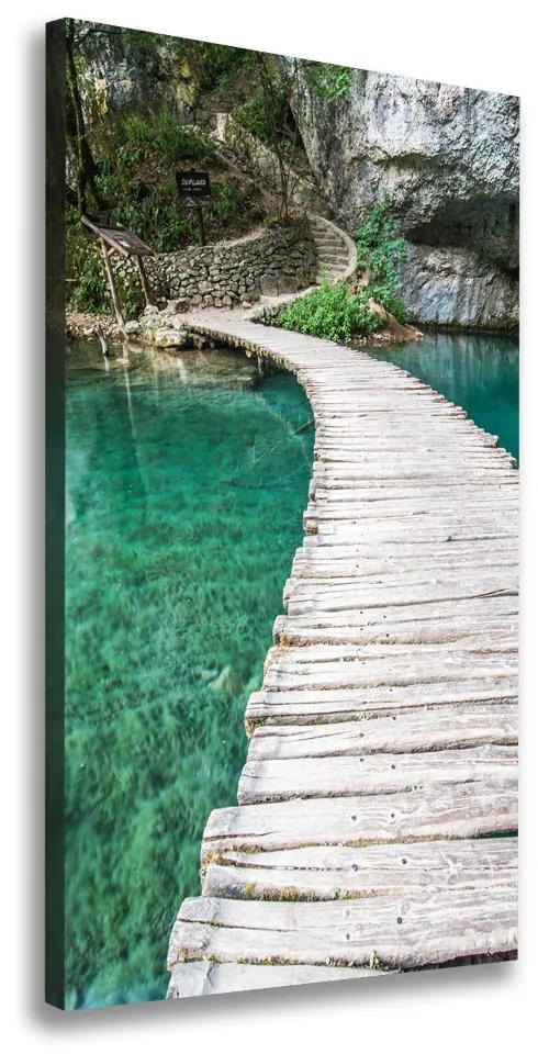 Wallmuralia Vertikální Foto obraz na plátně Plitvická jezera 50x100