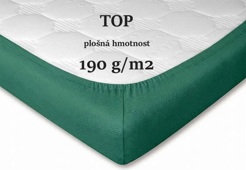 DADKA Jersey prostěradlo šalvěj Rozměr 160x200x20