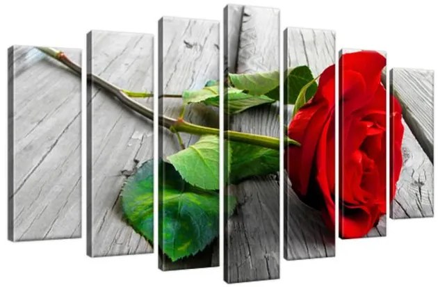 Tištěný obraz Růže plná barev 140x80cm 1140A_7B