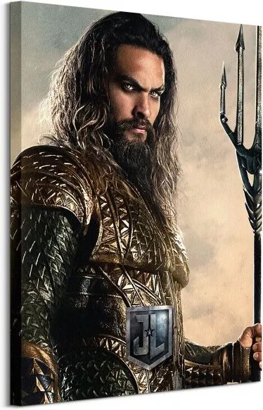 Obraz na plátně DC Comics Liga spravedlivých (Aquaman) 60x80cm WDC100225