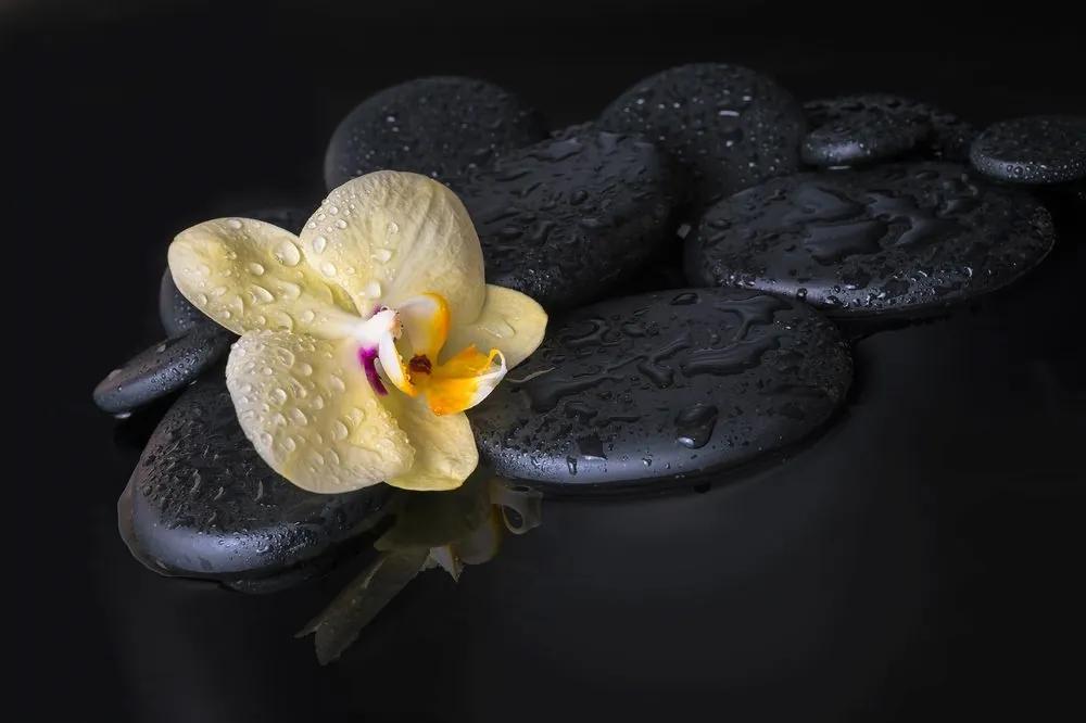 Samolepící fototapeta Zen kameny se žlutou orchidejí - 225x150 cm