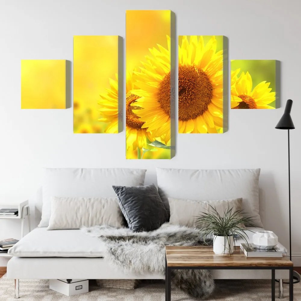 Vícedílný obraz Kvetoucí Slunečnice 3D Nedostatek Nedostatek Přírodní plátno 250x150