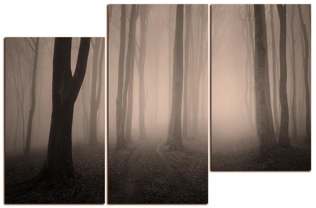 Obraz na plátně - Mlha v lese 1182FD (150x100 cm)