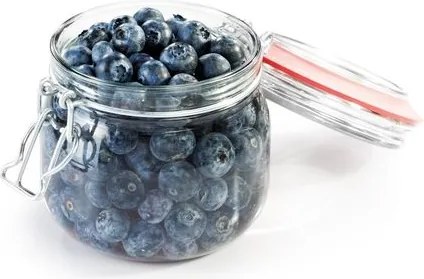 TESCOMA Zavařovací sklenice s klipem DELLA CASA 600 ml