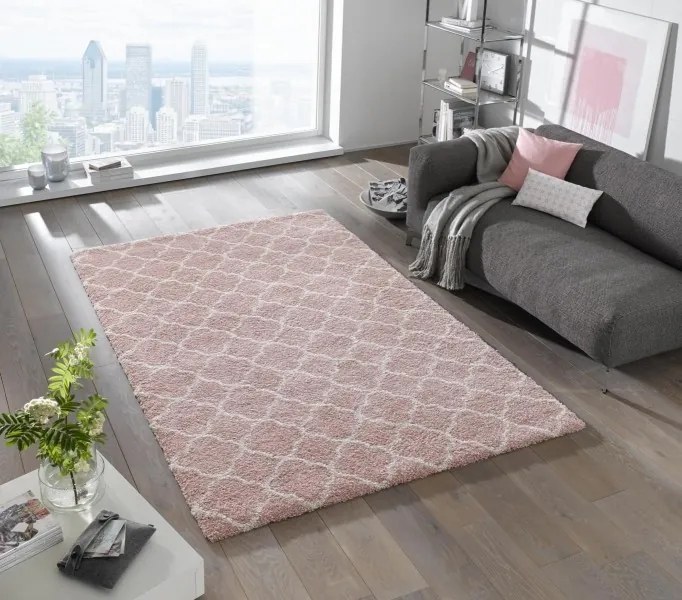 Mint Rugs - Hanse Home koberce AKCE: 80x150 cm Kusový koberec Grace 102602 - 80x150 cm