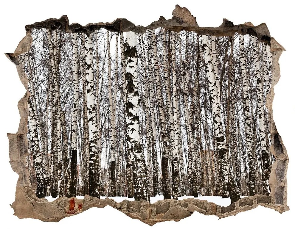 Wallmuralia Nálepka fototapeta 3D výhled Břízy zima 95x64 cm