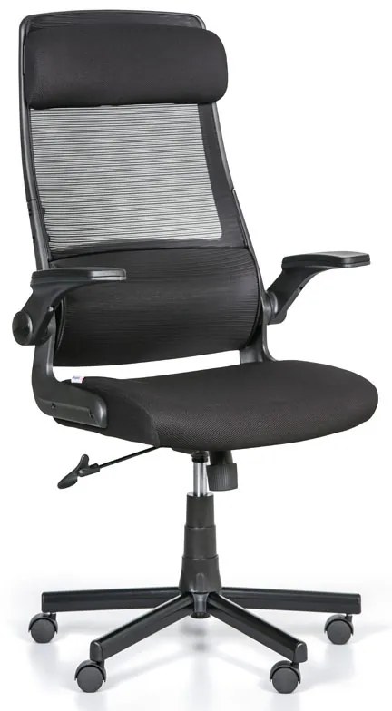 Kancelářská židle EIGER, šedá